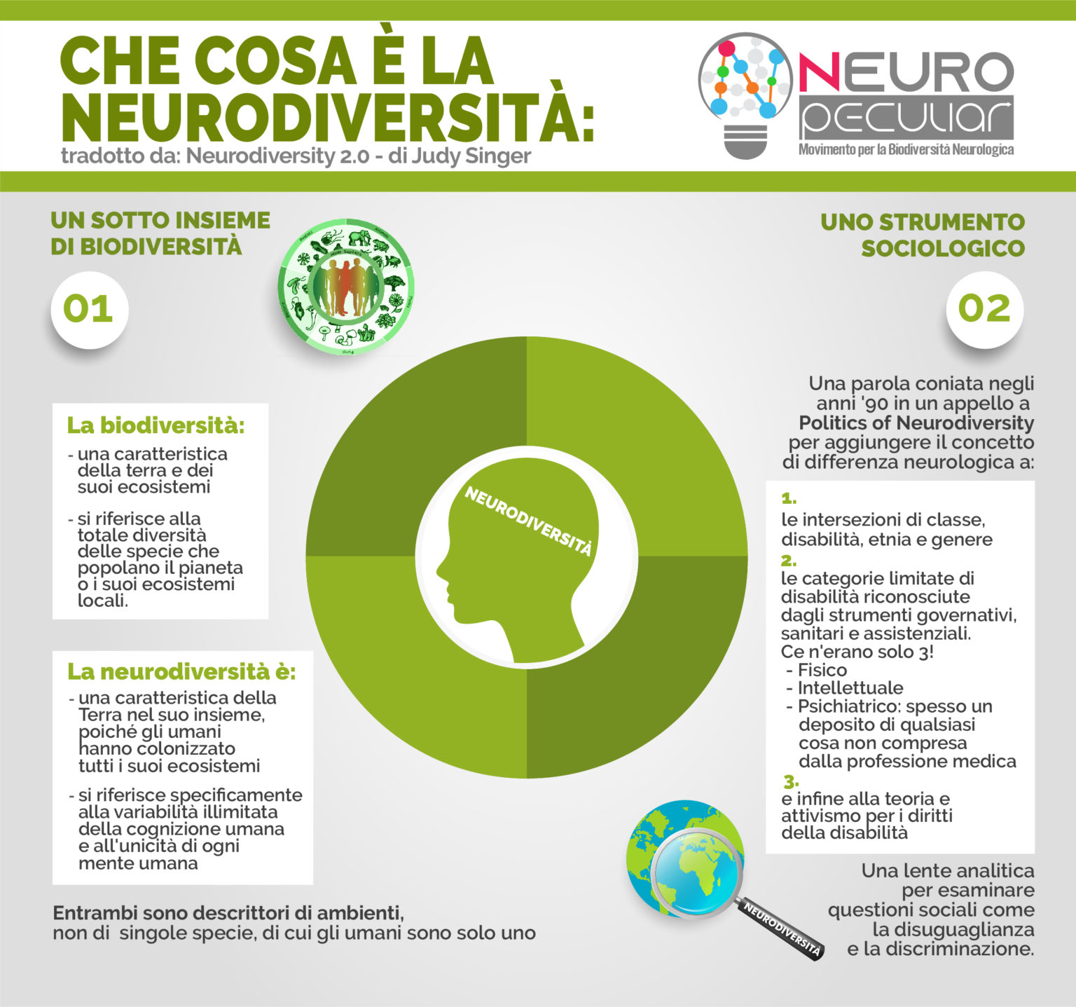 Che cos’è la neurodiversità? – Neuropeculiar